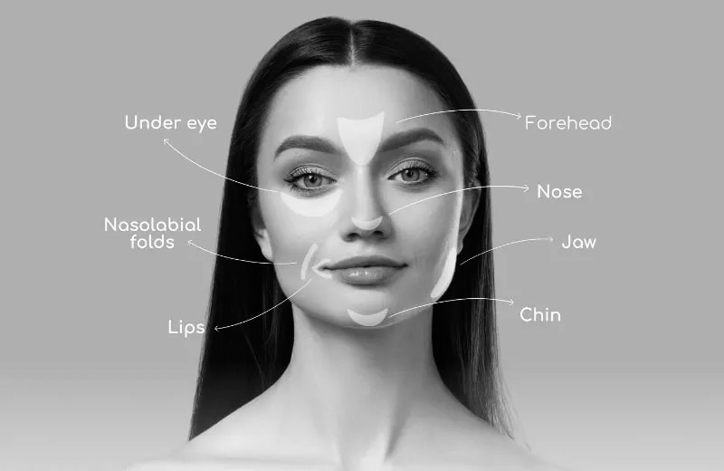 Facial Anatomy for the Modern Aesthetic Practitioner - Nordic ...
